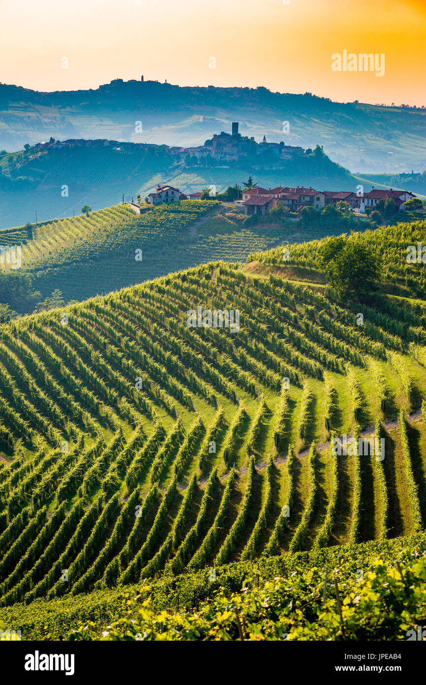 Nebbiolo region hi-res stock photography and images - Alamy