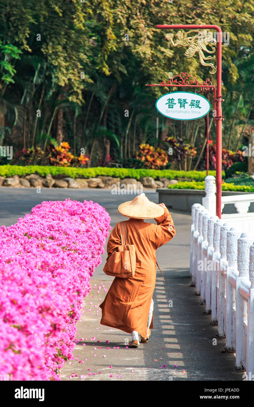 Monk in temple hi-res stock photography and images - Alamy
