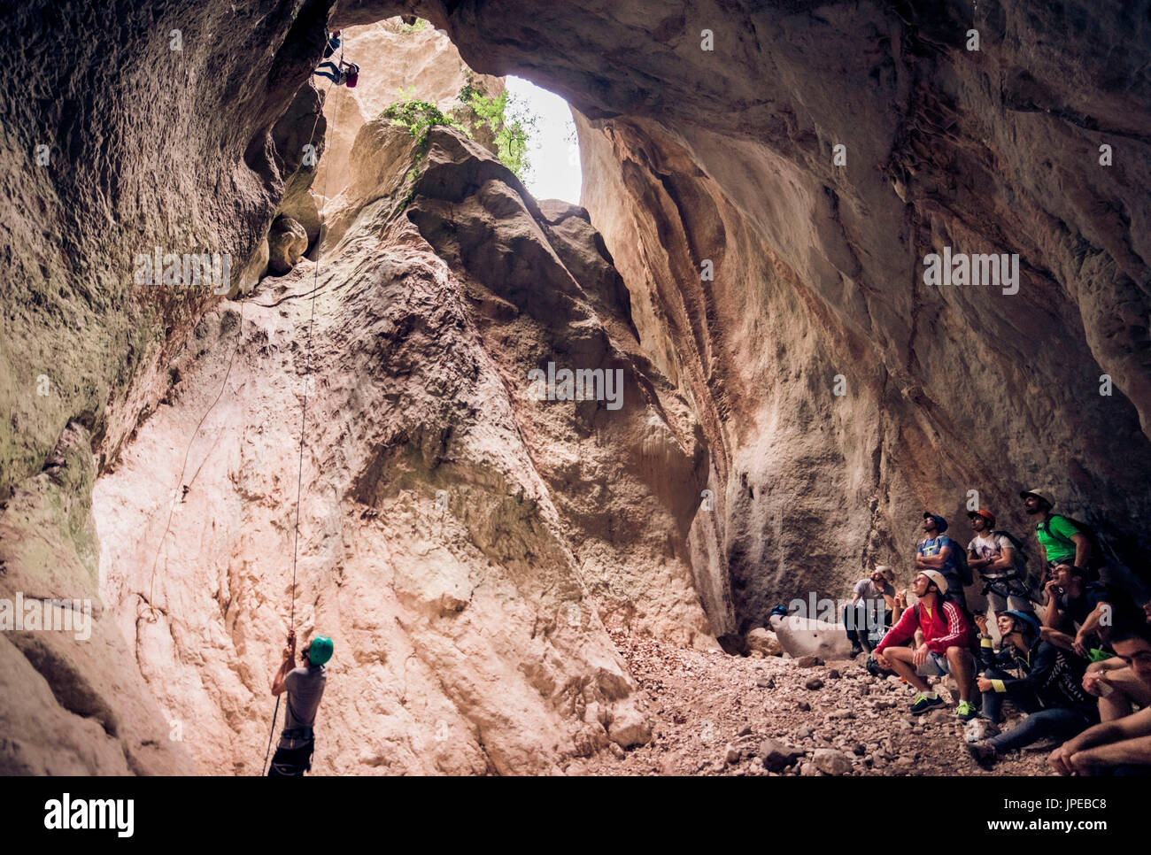 Codula fuili hi-res stock photography and images - Alamy