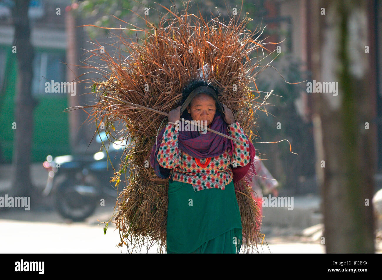 Woman carries the hay hi-res stock photography and images - Alamy