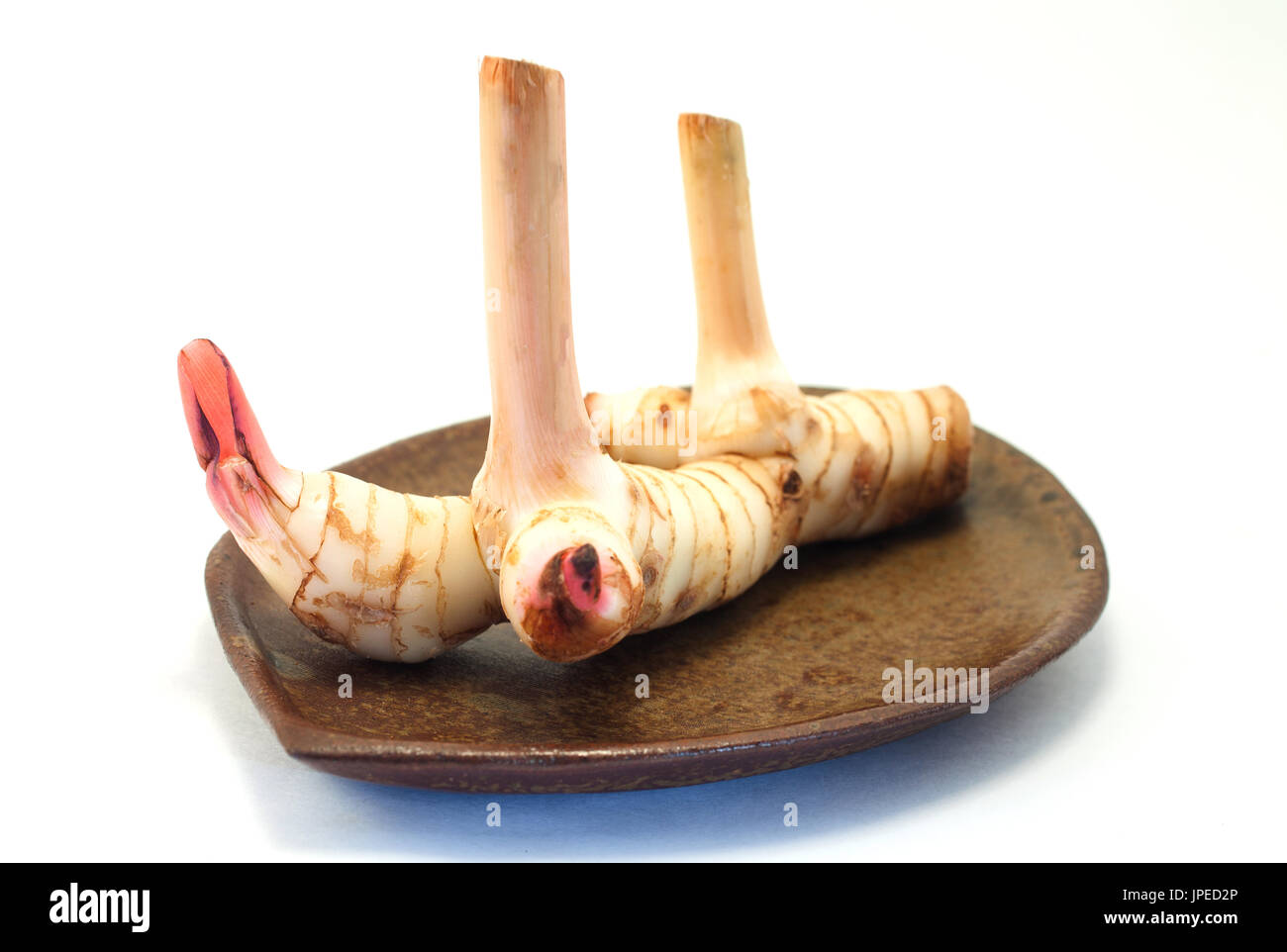 Fresh galingale root on white background Stock Photo - Alamy