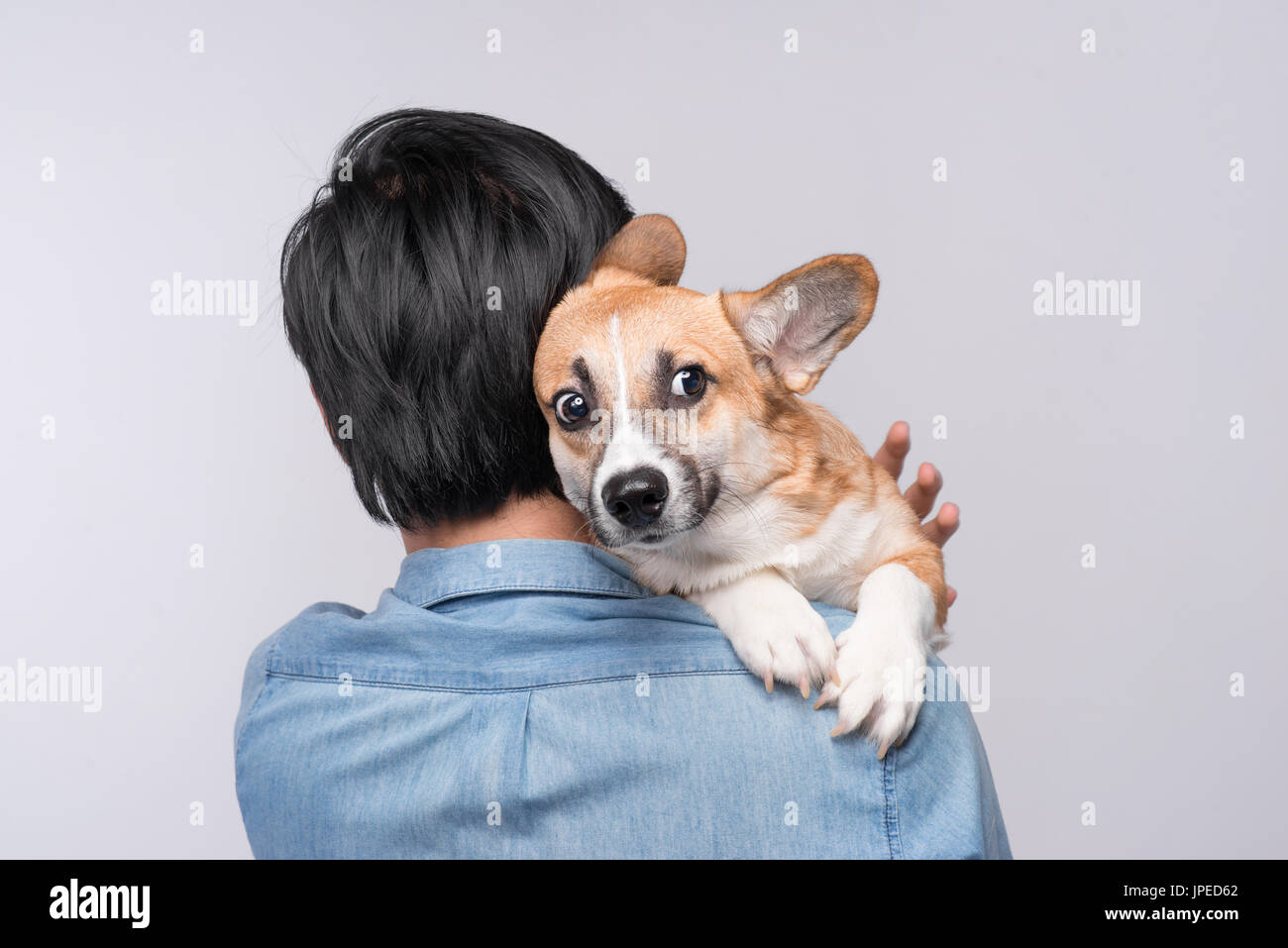 A man snuggling and hugging his dog, close friendship loving in studio ...