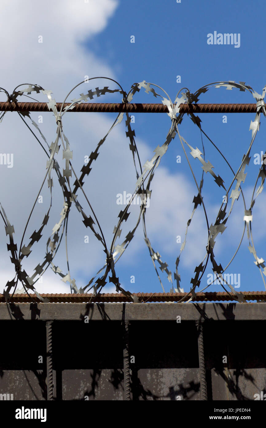 Barbed wire wound to the top of a fence, Russia Stock Photo - Alamy