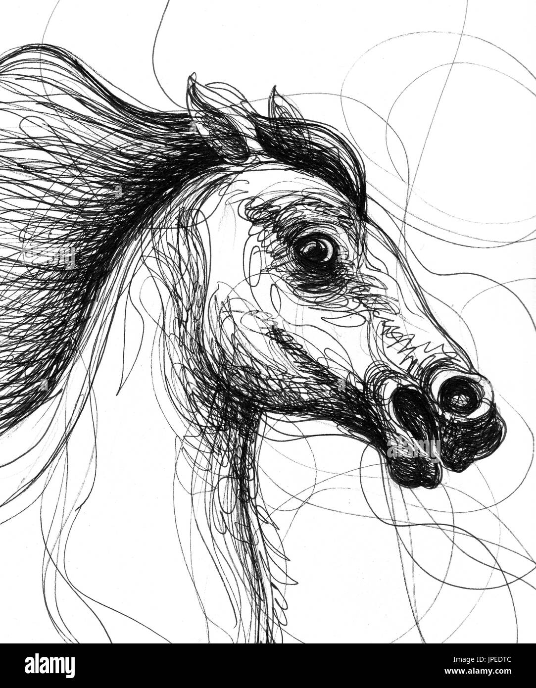 Ink horse hi-res stock photography and images - Alamy