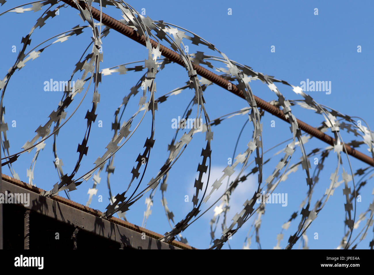 Barbed wire wound to the top of a fence, Russia Stock Photo - Alamy