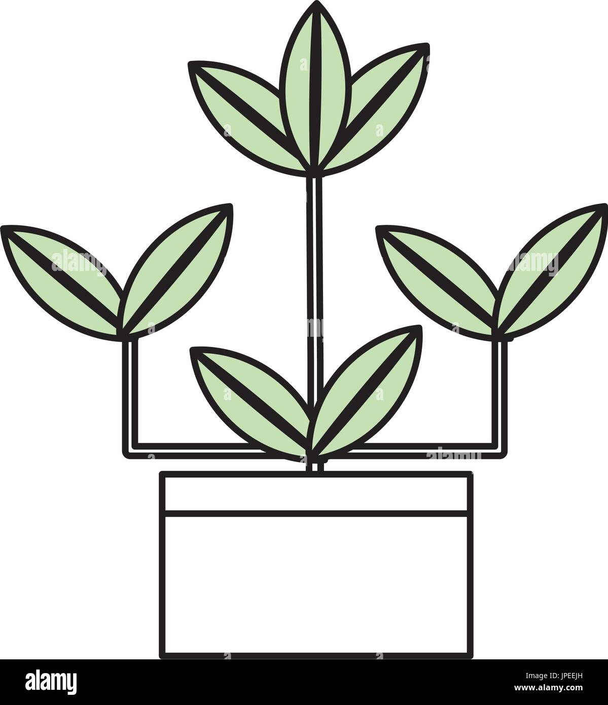 Plant in vase Stock Vector Image & Art - Alamy
