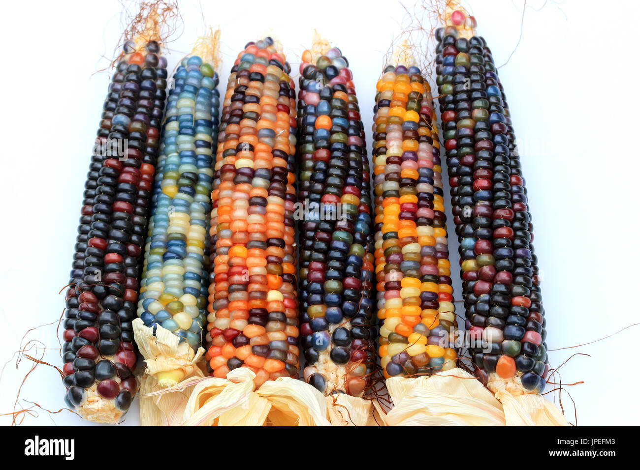 Heirloom Corn High Resolution Stock Photography and Images - Alamy