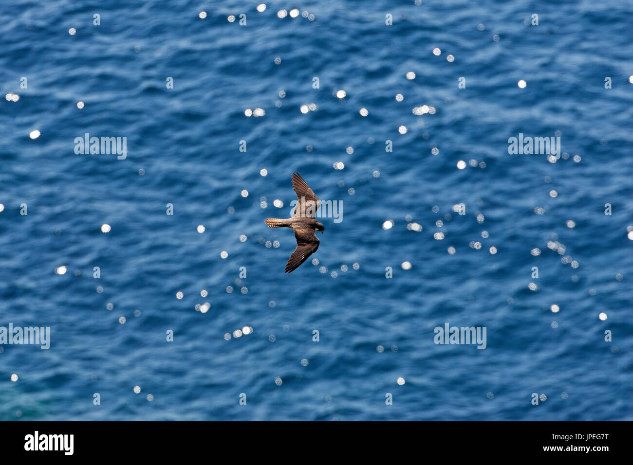 Cap sandalo hi-res stock photography and images - Alamy