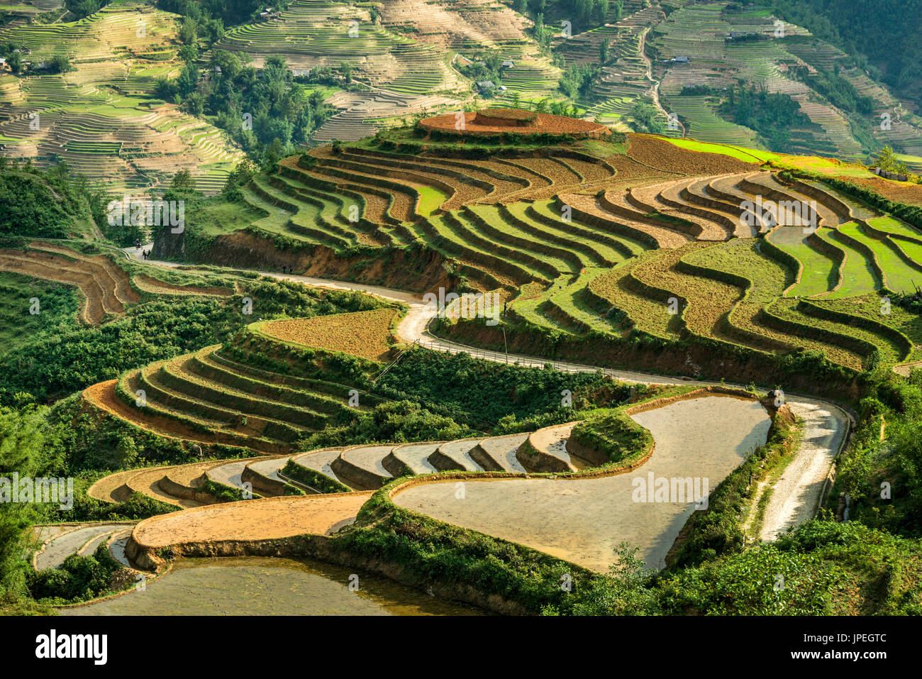 Rice paddies at Sapa Valley, Northern Vietnam Stock Photo - Alamy