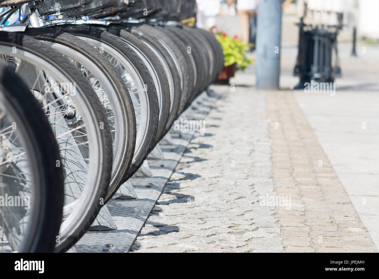 close up on bike wheels in row Stock Photo - Alamy