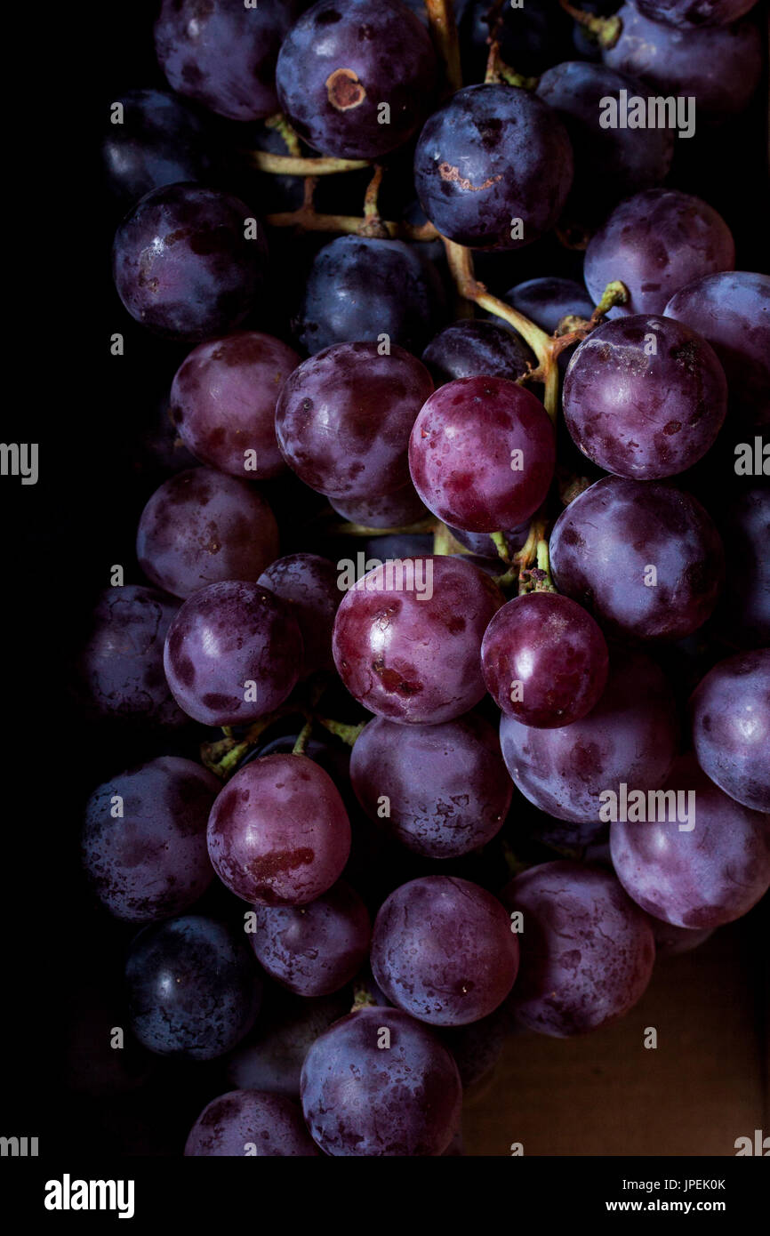 Red dark grapes autumn hi-res stock photography and images - Alamy