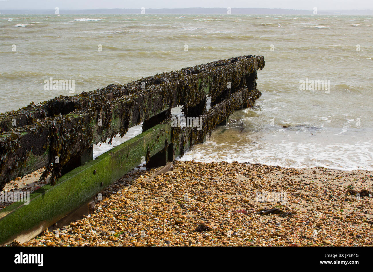 Coastal defenses to help prevent coastal erosion on the pebble beach in ...