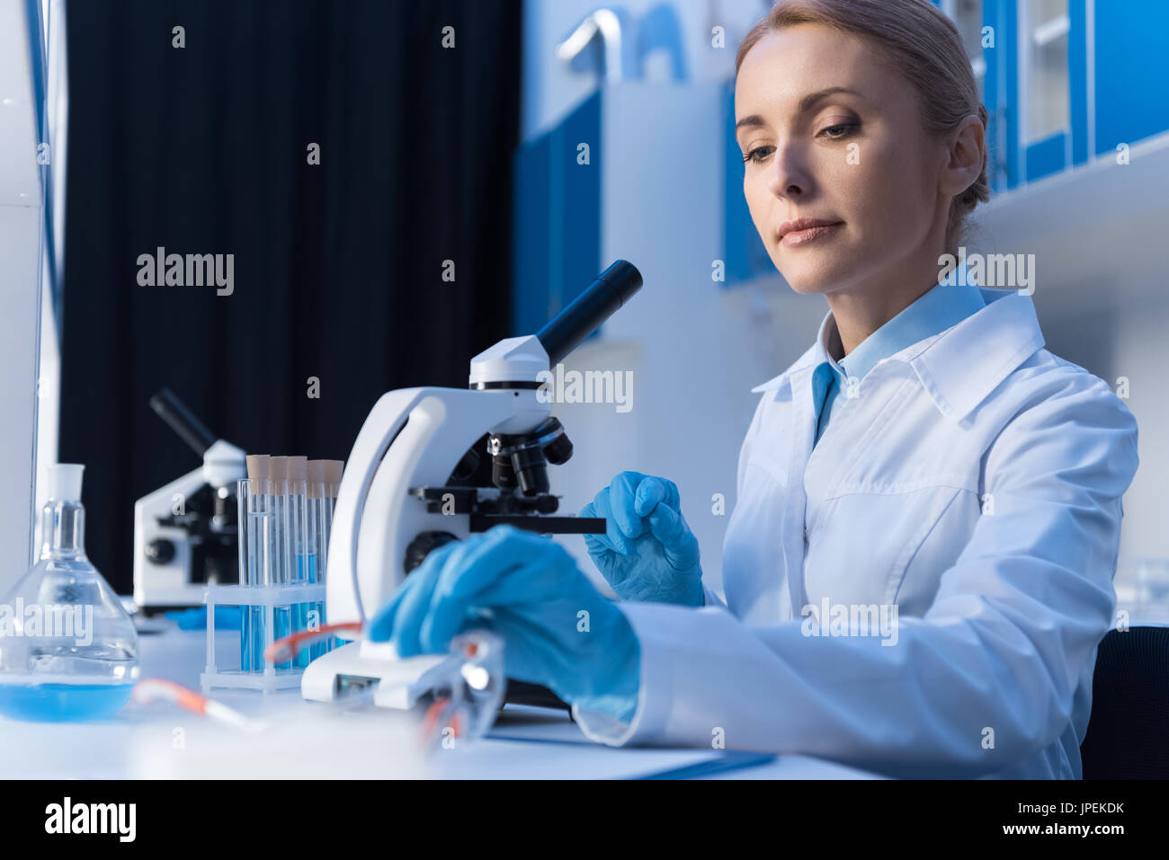 portrait of focused scientist using microscope while working with ...