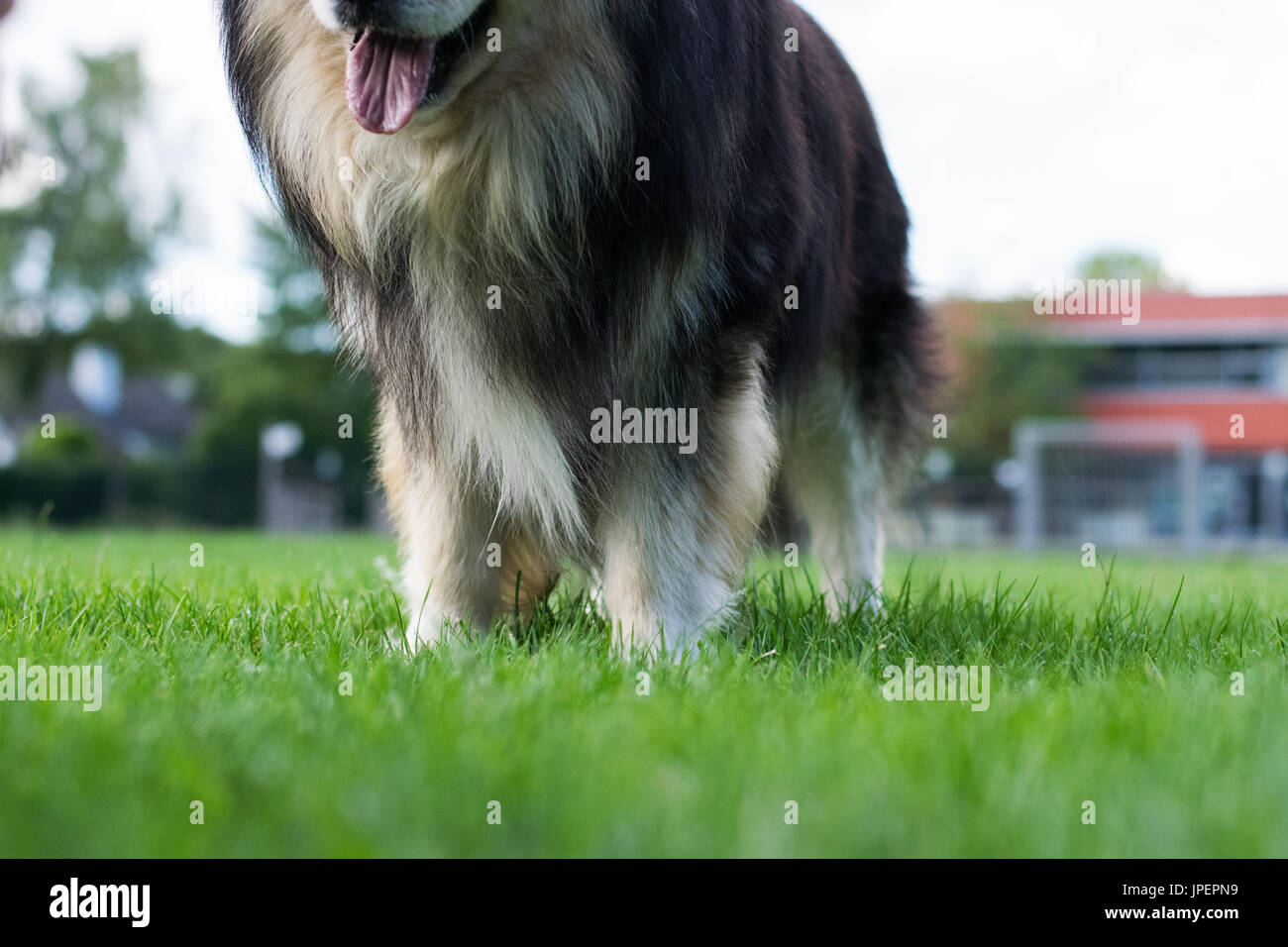 Happy finish hi-res stock photography and images - Alamy