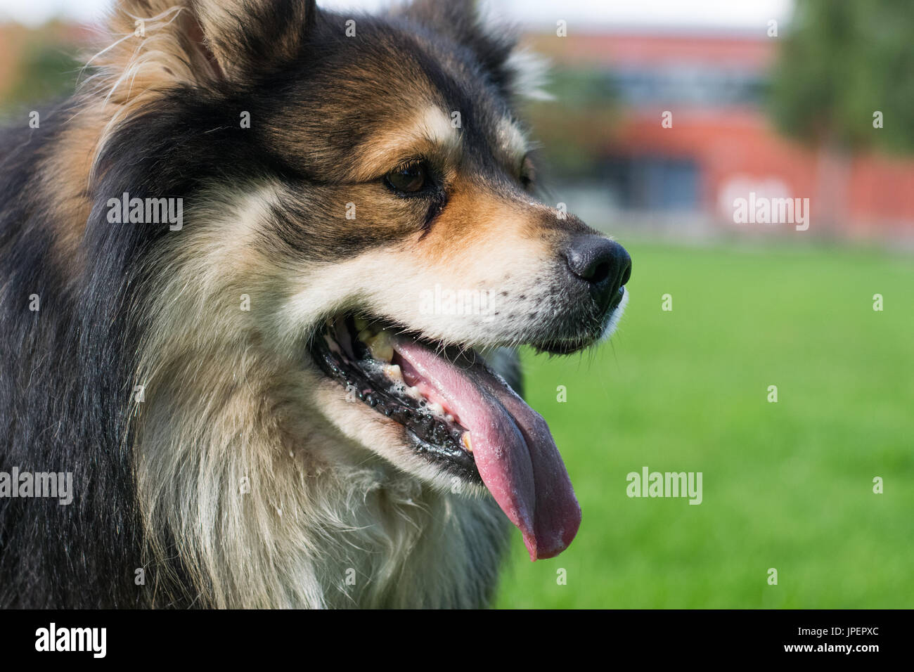 Happy finish hi-res stock photography and images - Alamy