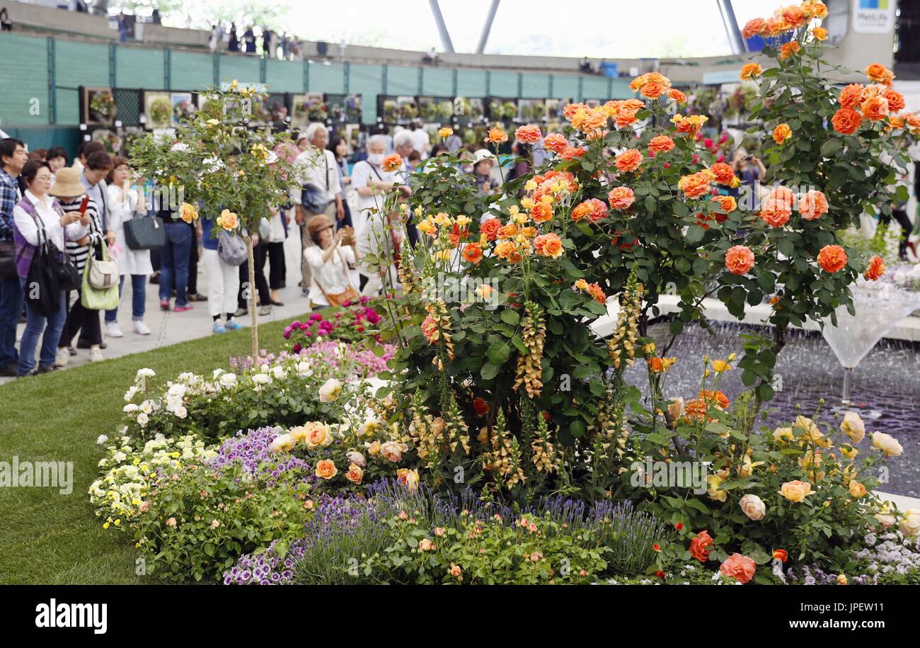 The opening ceremony for the International Roses and Gardening Show is ...
