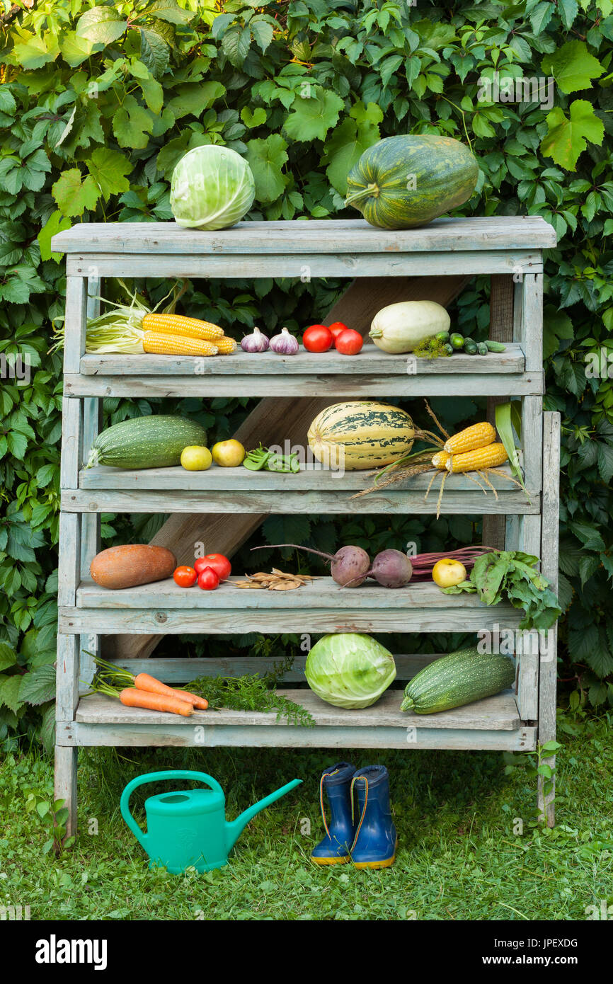 Fresh Organic Vegetables On Old Wooden Construction Ladder Outdoors ...