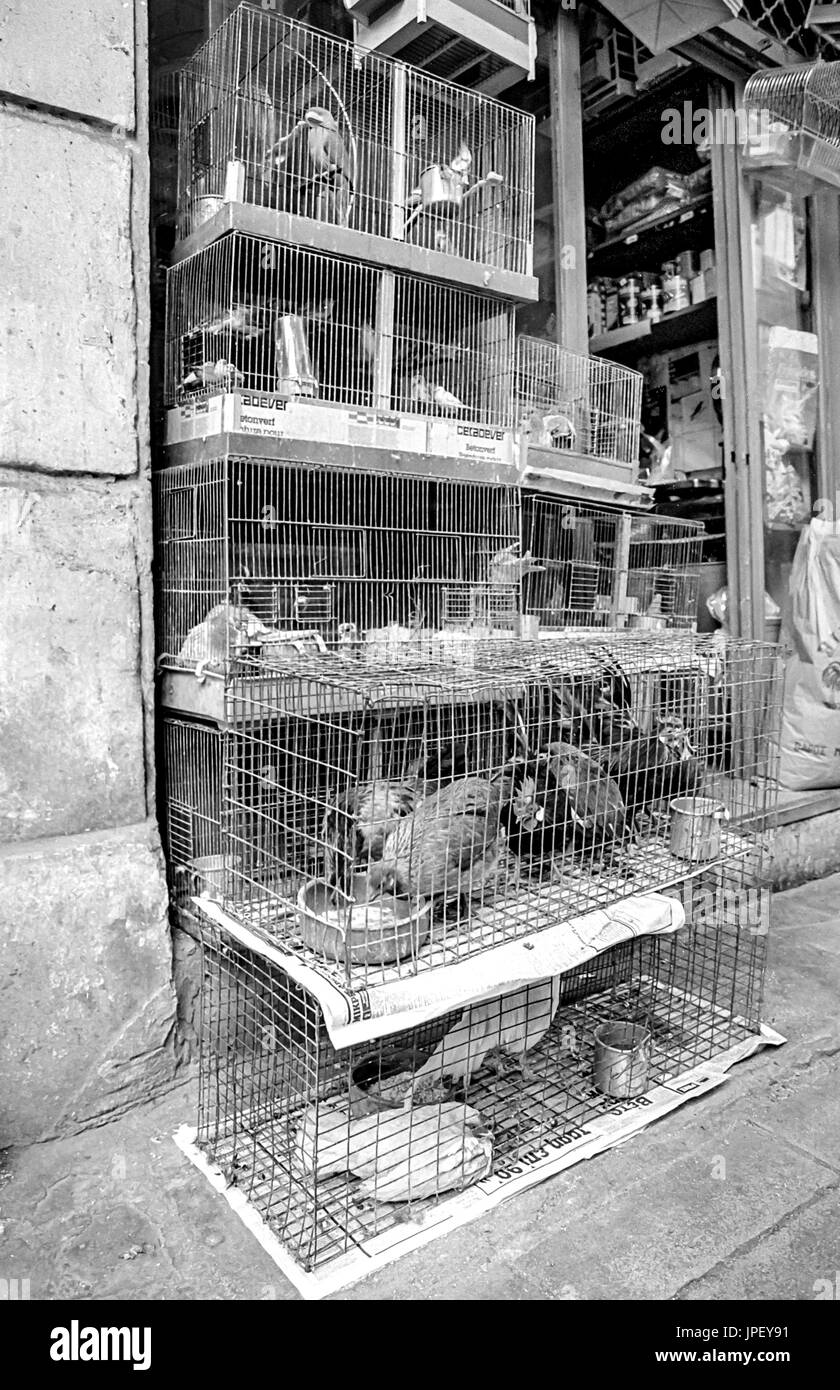 Pictures taken in Athens in 1986 Stock Photo - Alamy