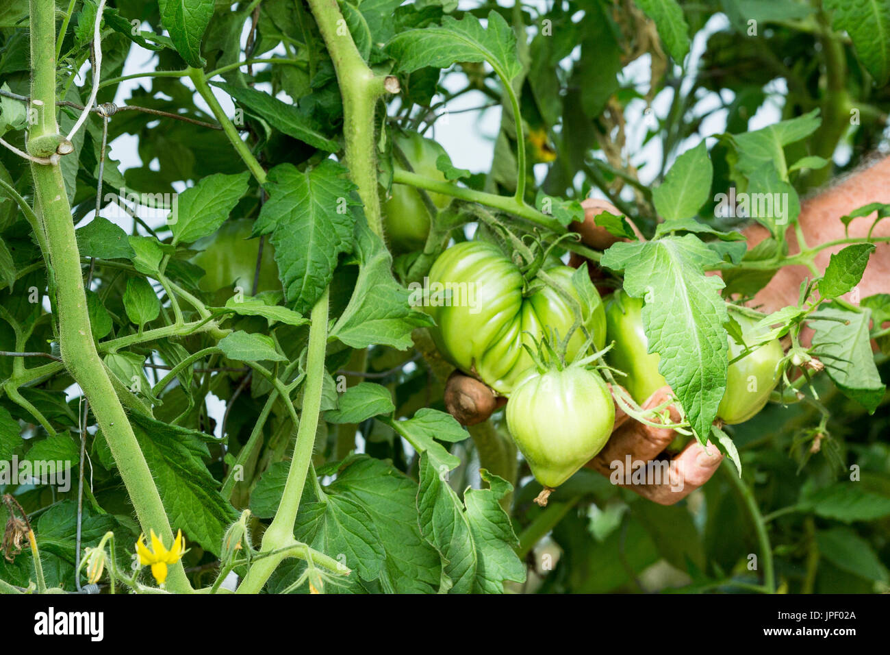 Aproduct hi-res stock photography and images - Alamy