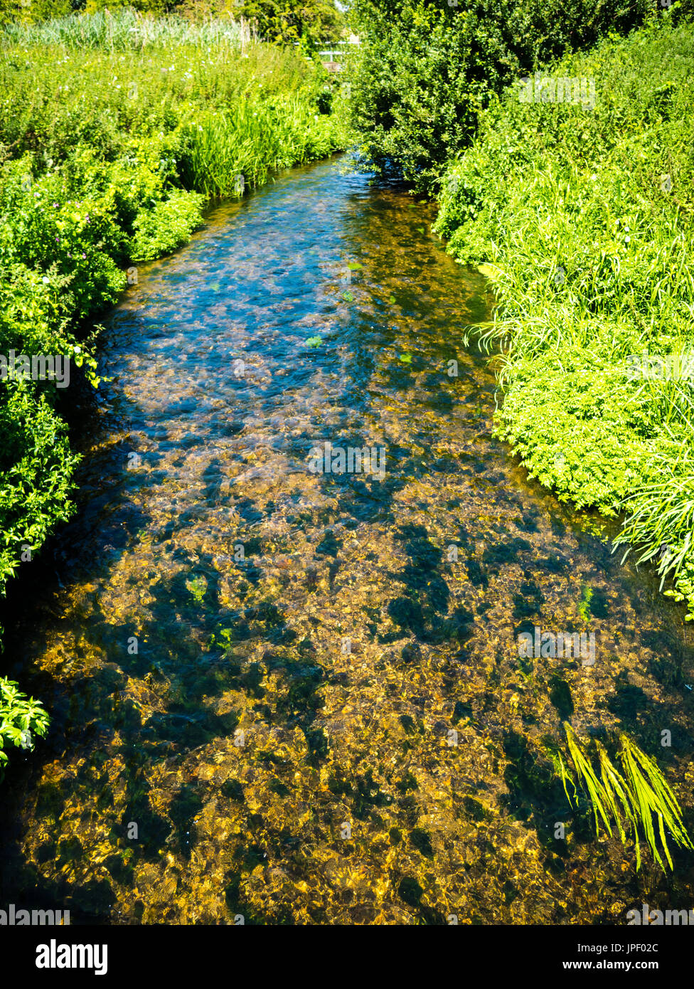 Stream into The River Thames, Eaton Wick, nr Windsor, Berkshire ...