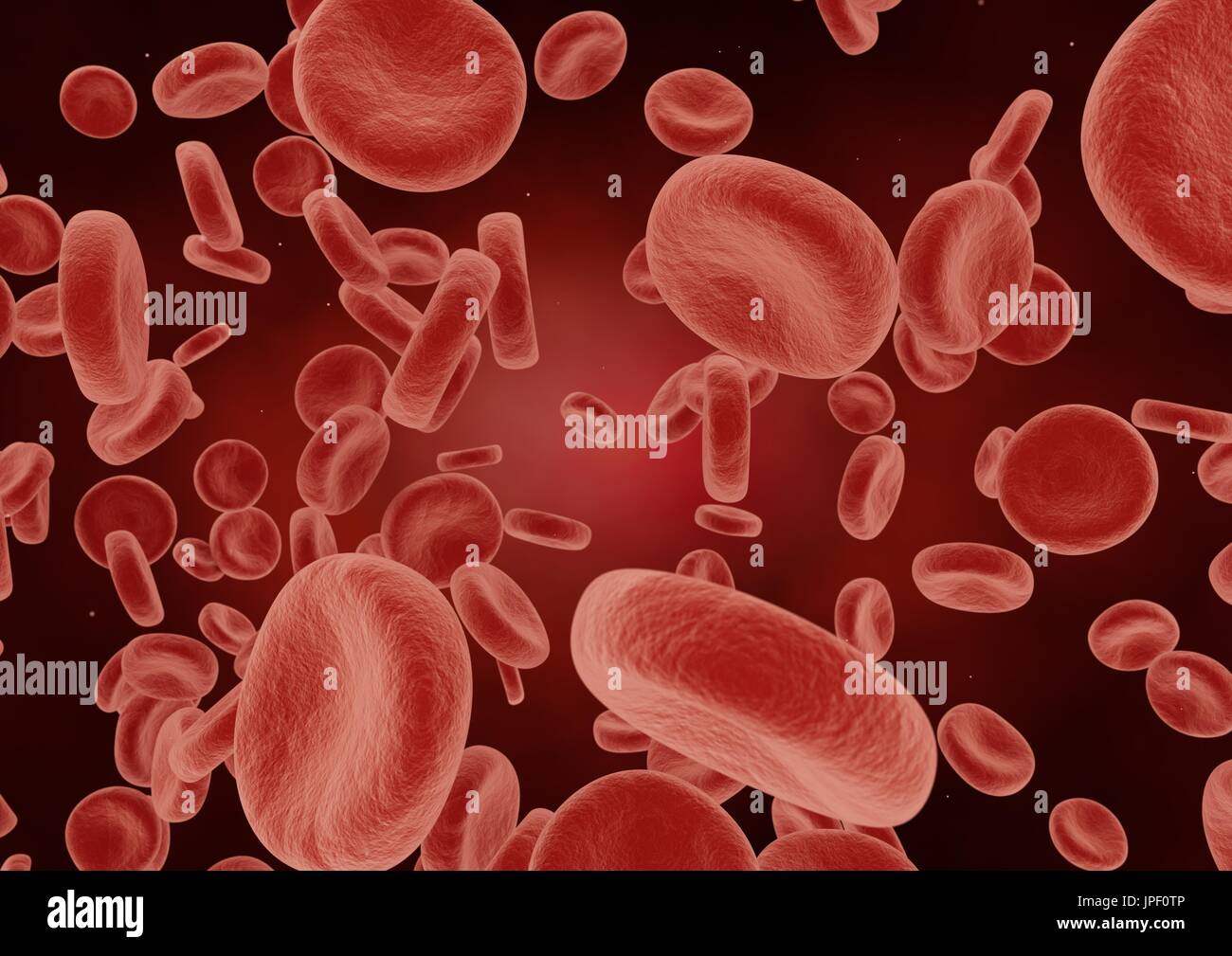 Animal cells micrograph hi-res stock photography and images - Alamy