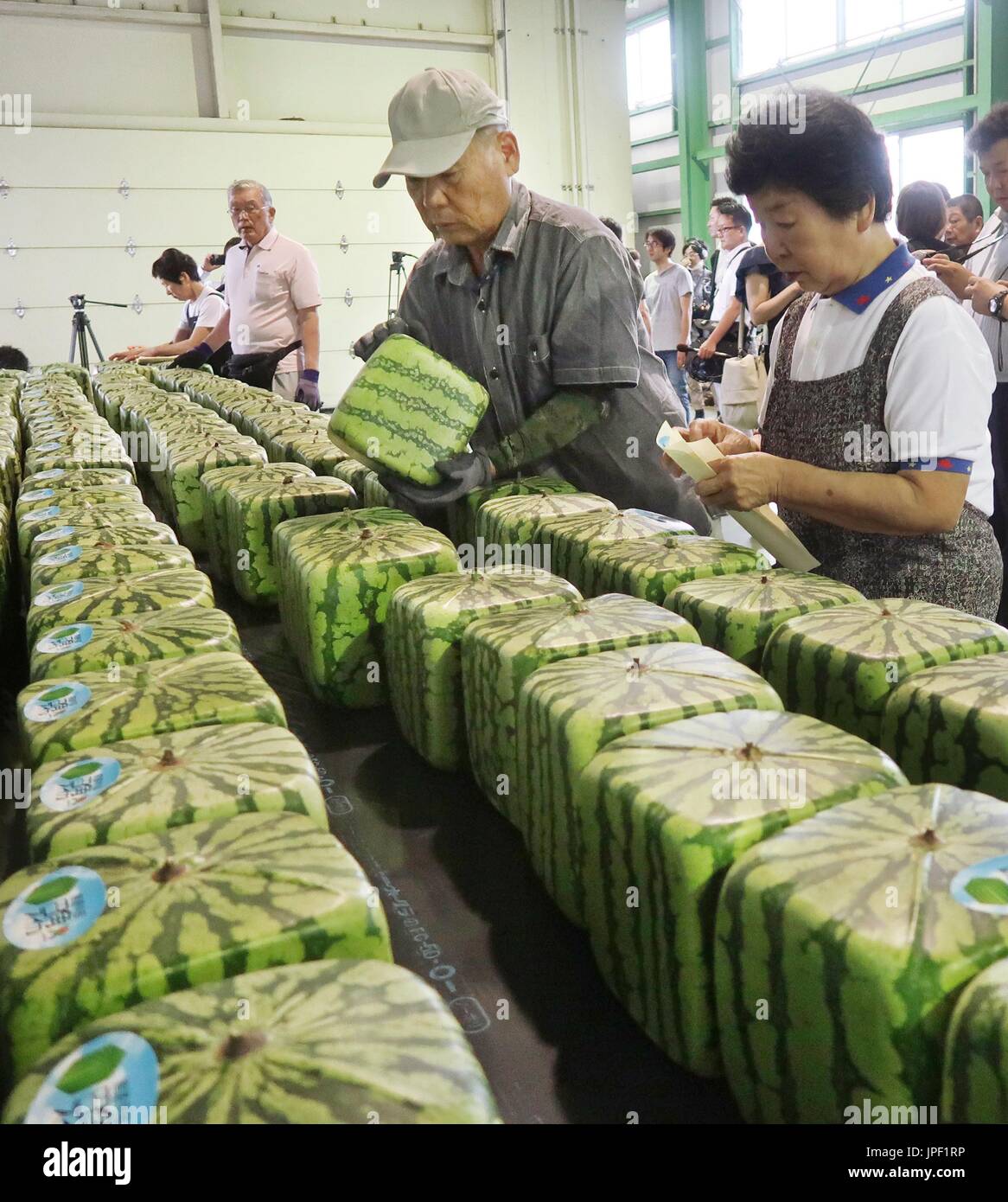 Workers check cube-shaped watermelons in Zentsuji, Kagawa Prefecture ...