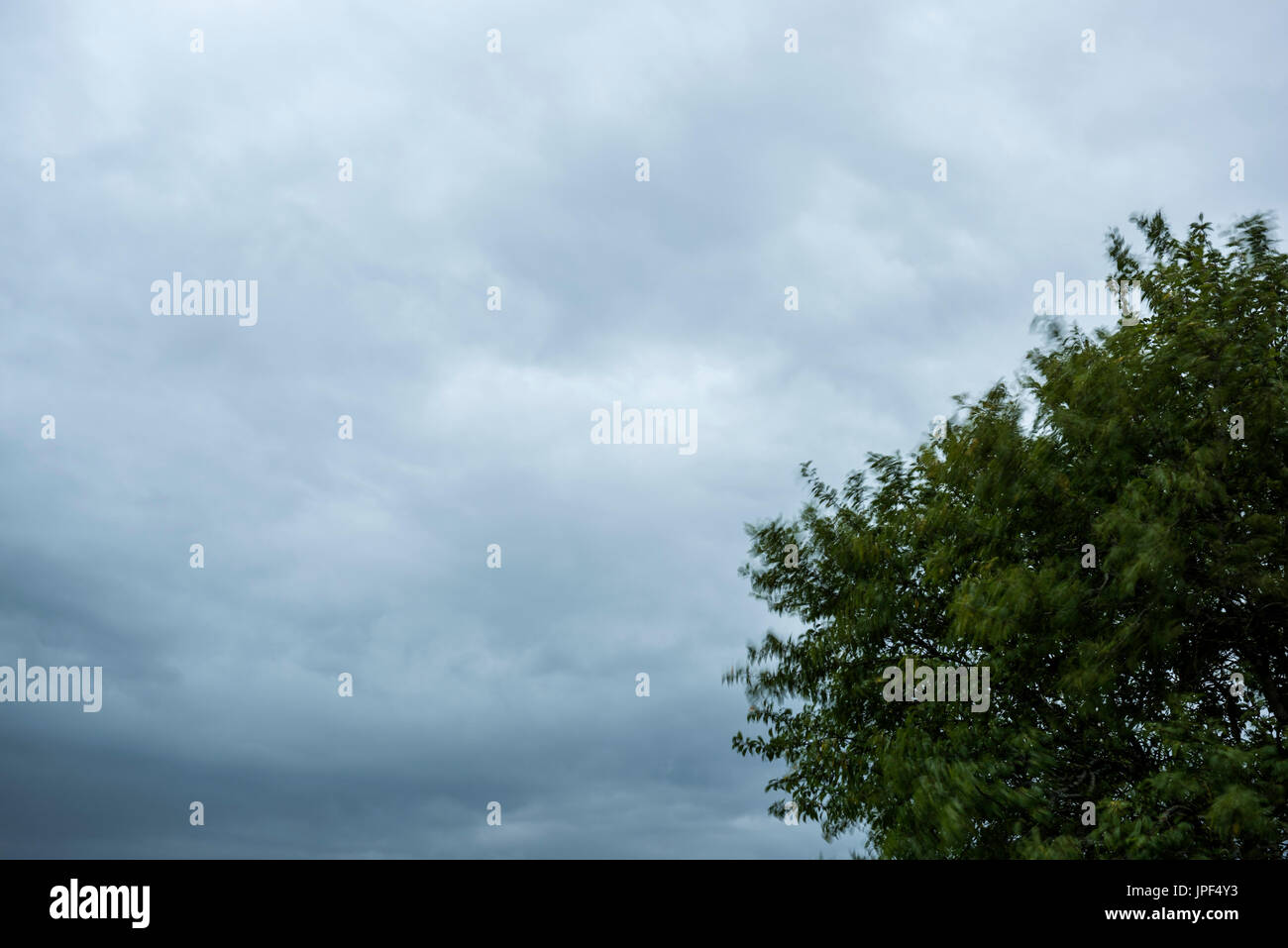 Strong wind atmosphere hi-res stock photography and images - Alamy