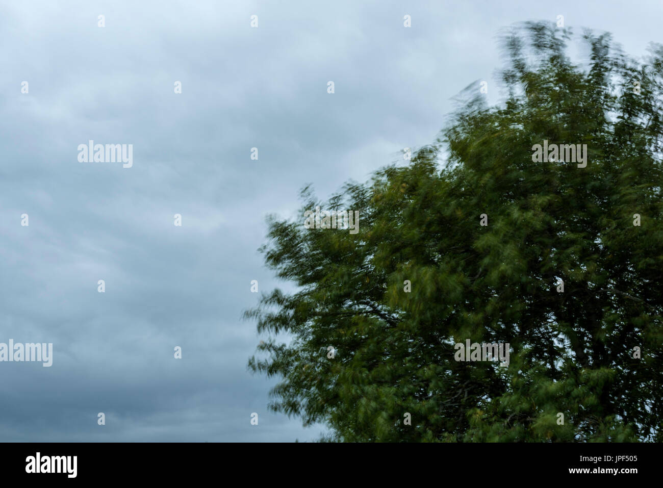 Strong wind atmosphere hi-res stock photography and images - Alamy