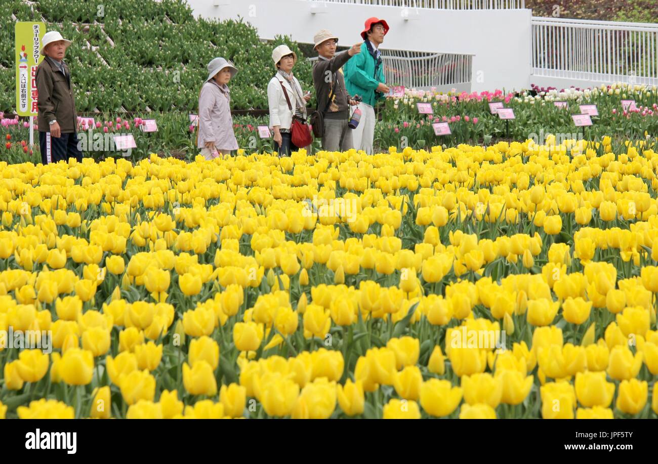 Visitors view colorful tulips at the annual Tulip Fair in Tonami ...