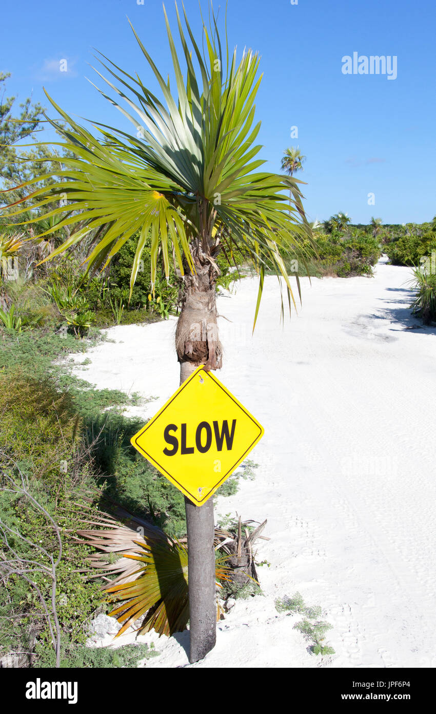 The road sign hanging on a palm tree on uninhabited island Half Moon ...