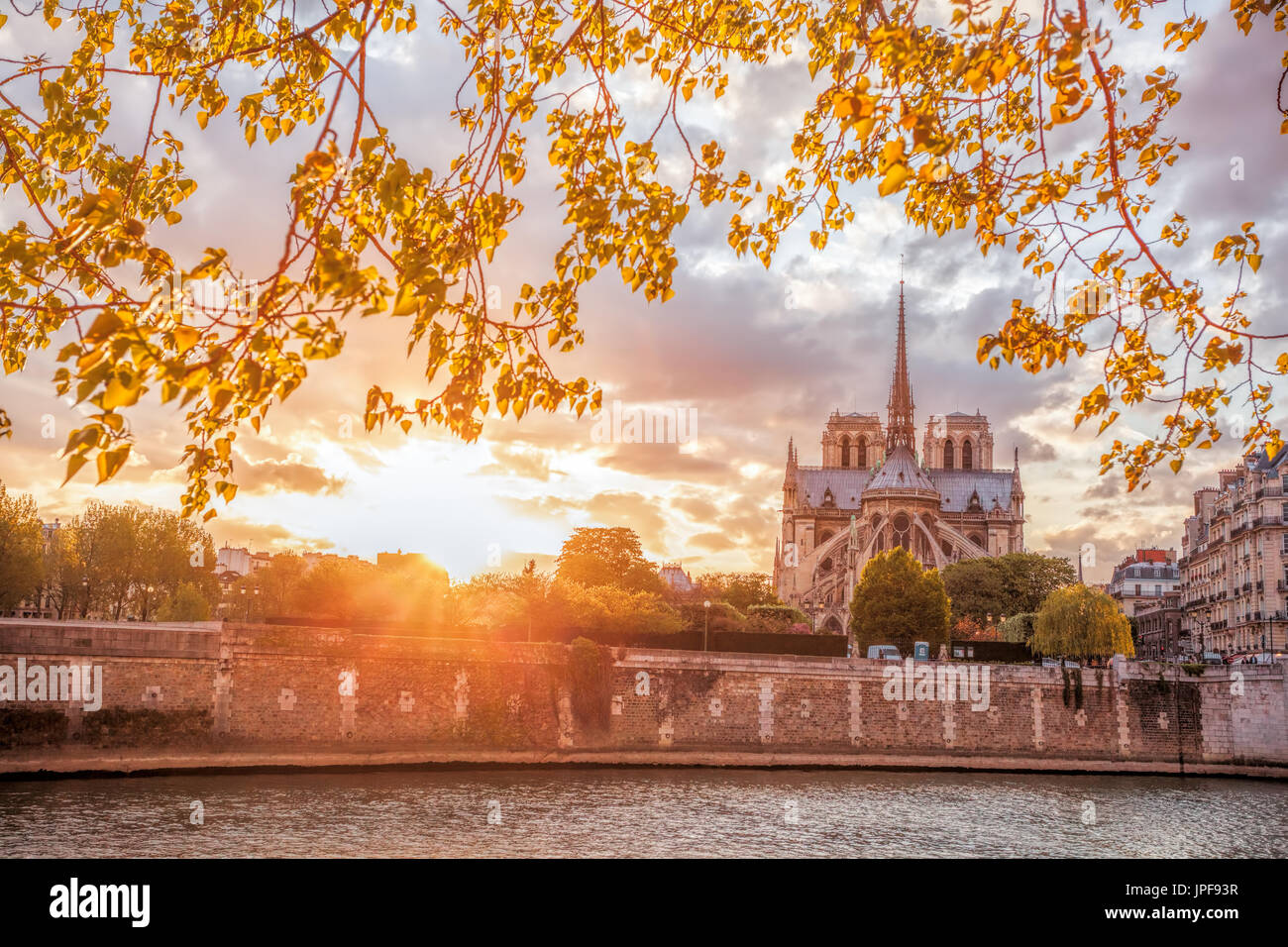 Notre Dame cathedral against colorful sunset during spring time in ...