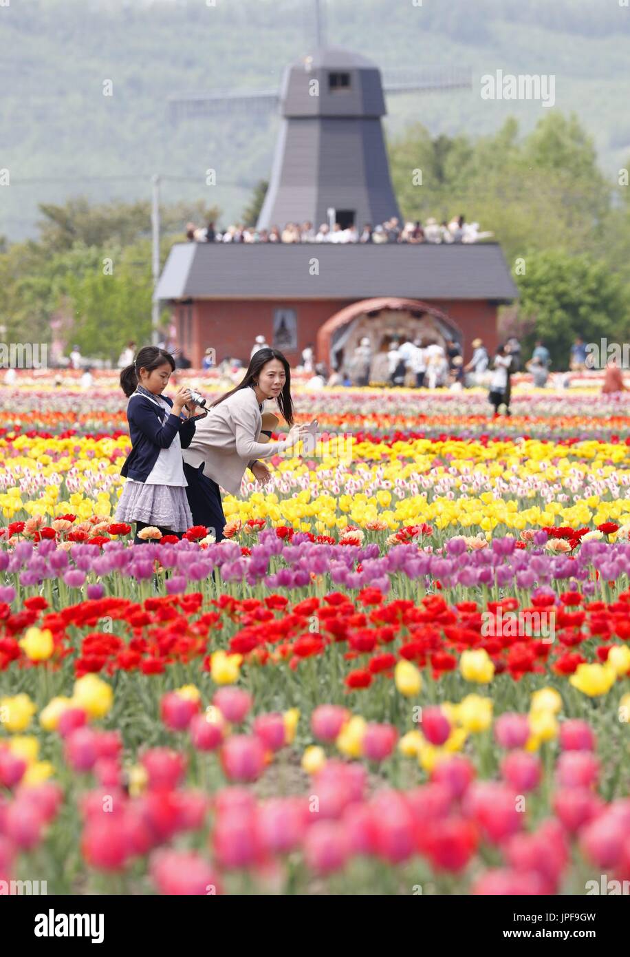 Visitors stroll through Kamiyubetsu Tulip Park in the town of Yubetsu ...