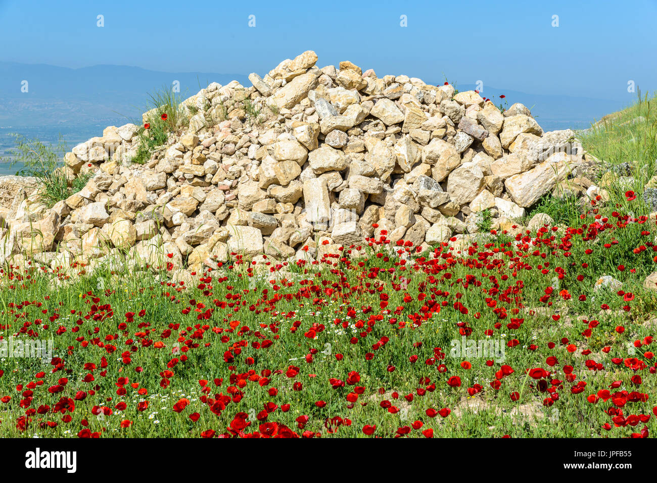 Red poppy field, Pamukkale, Turkey Stock Photo - Alamy