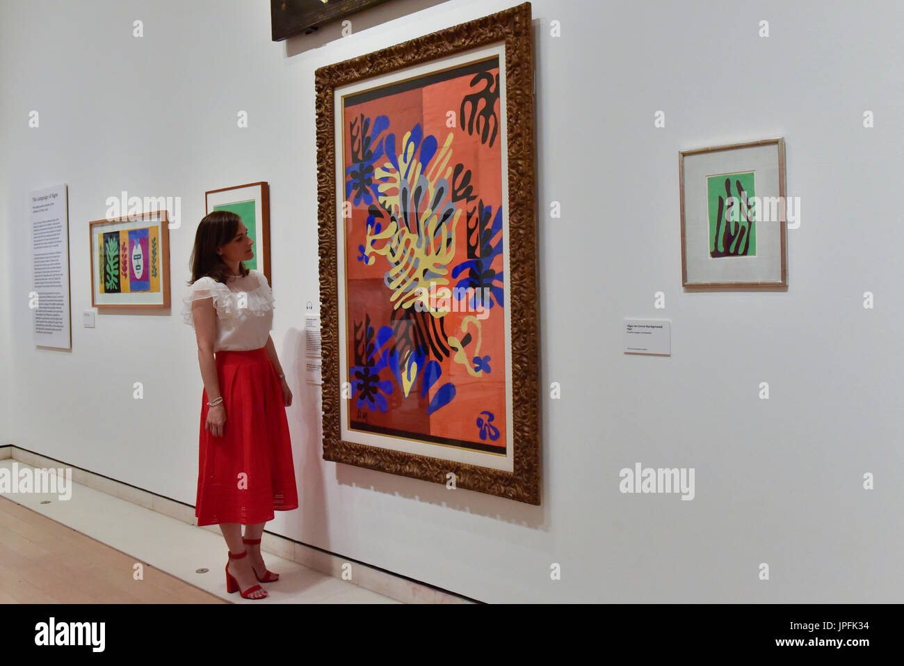 The cut outs henri matisse hi-res stock photography and images - Alamy
