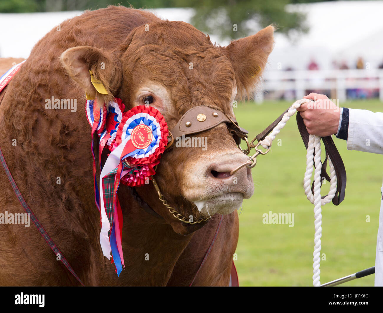 Turriff show hi-res stock photography and images - Alamy