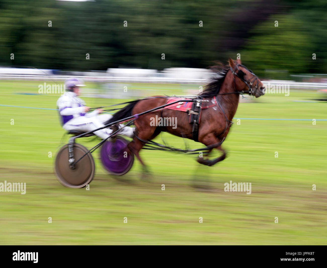 Sulky racing hi-res stock photography and images - Alamy