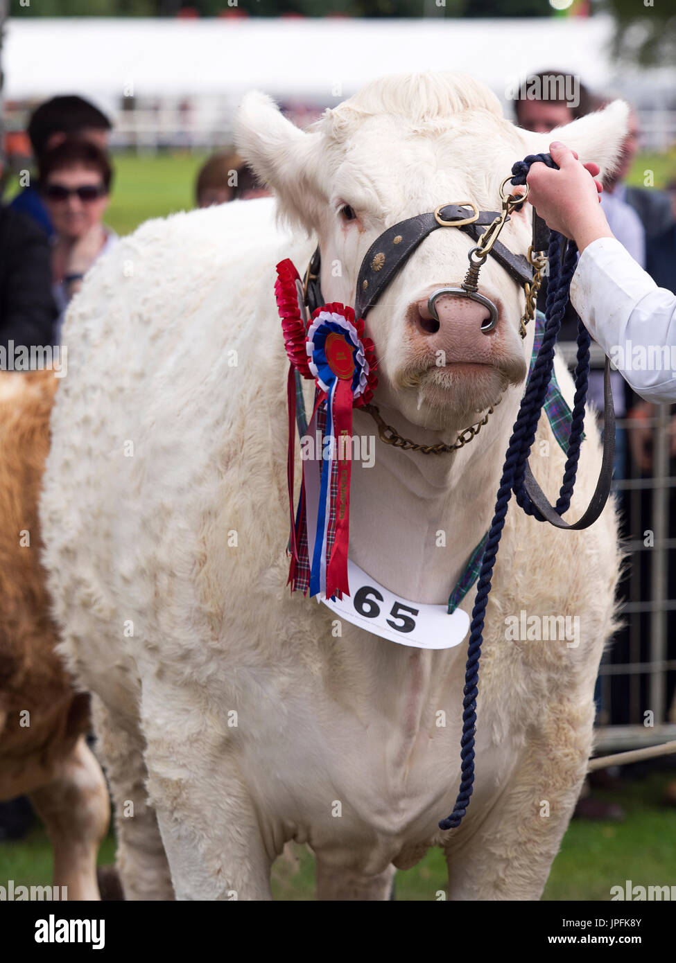 Turriff show hi-res stock photography and images - Alamy