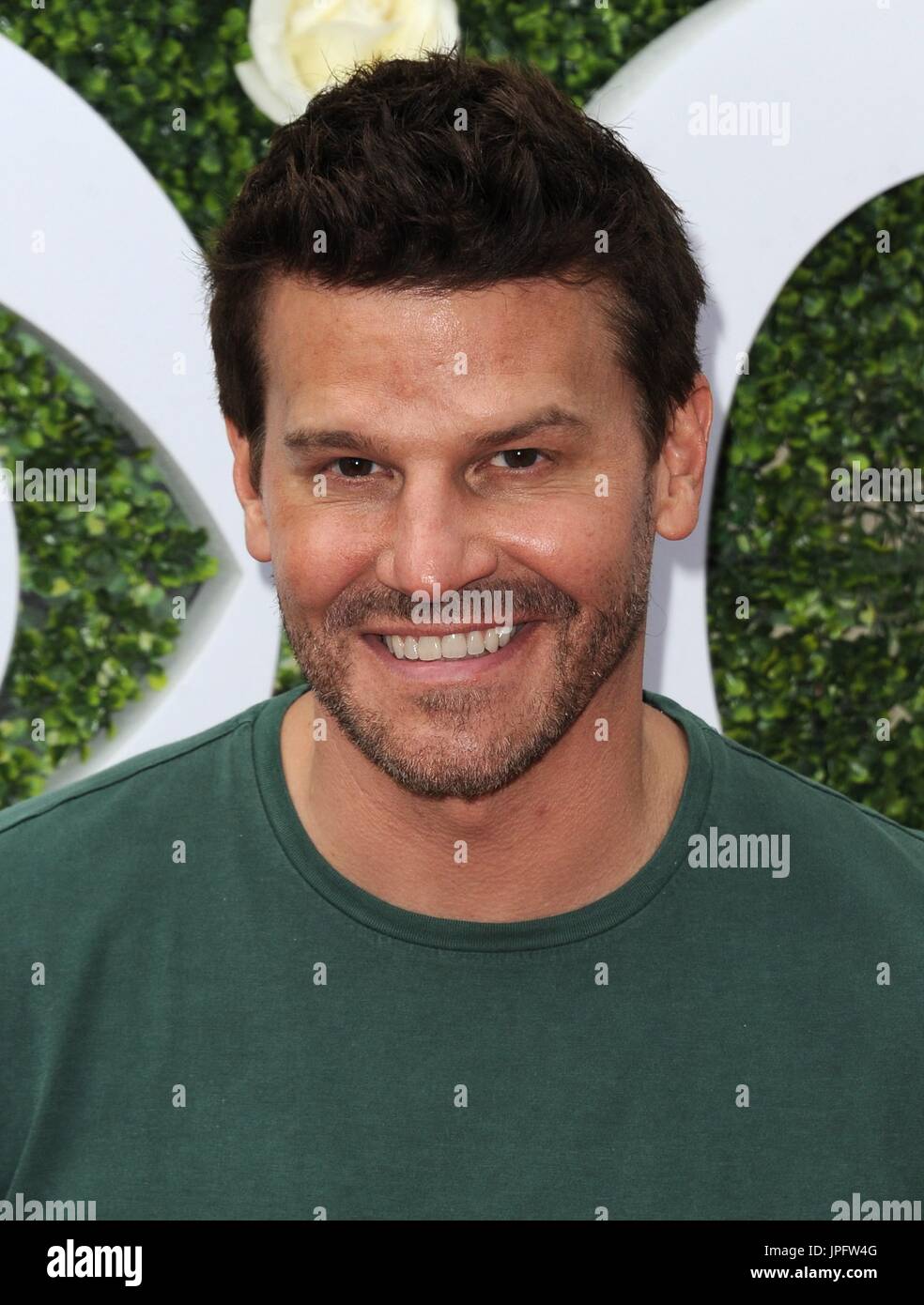 Los Angeles, CA, USA. 1st Aug, 2017. David Boreanaz at arrivals for TCA ...