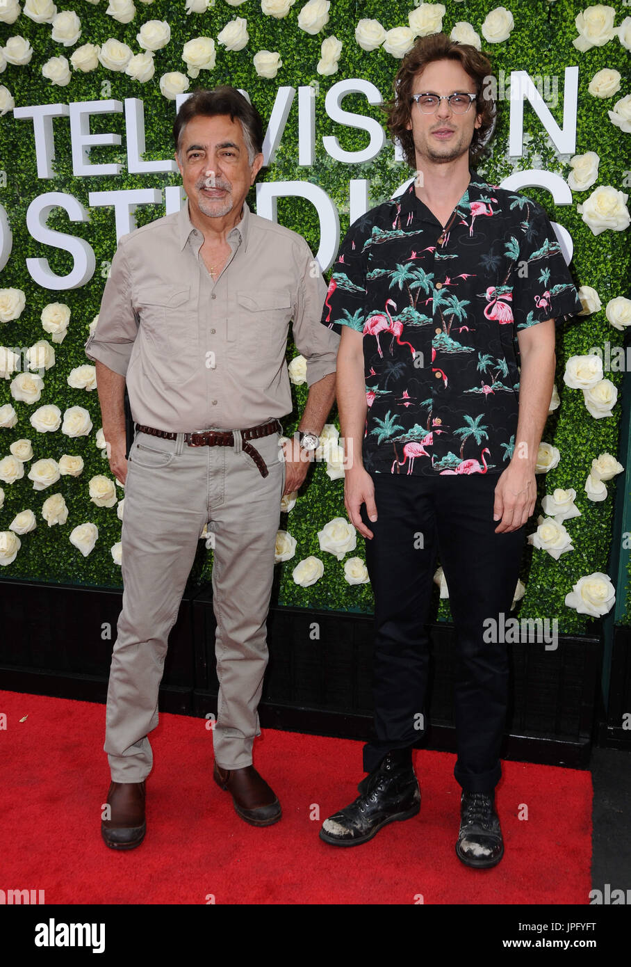 Matthew gray gubler joe mantegna hi-res stock photography and images ...