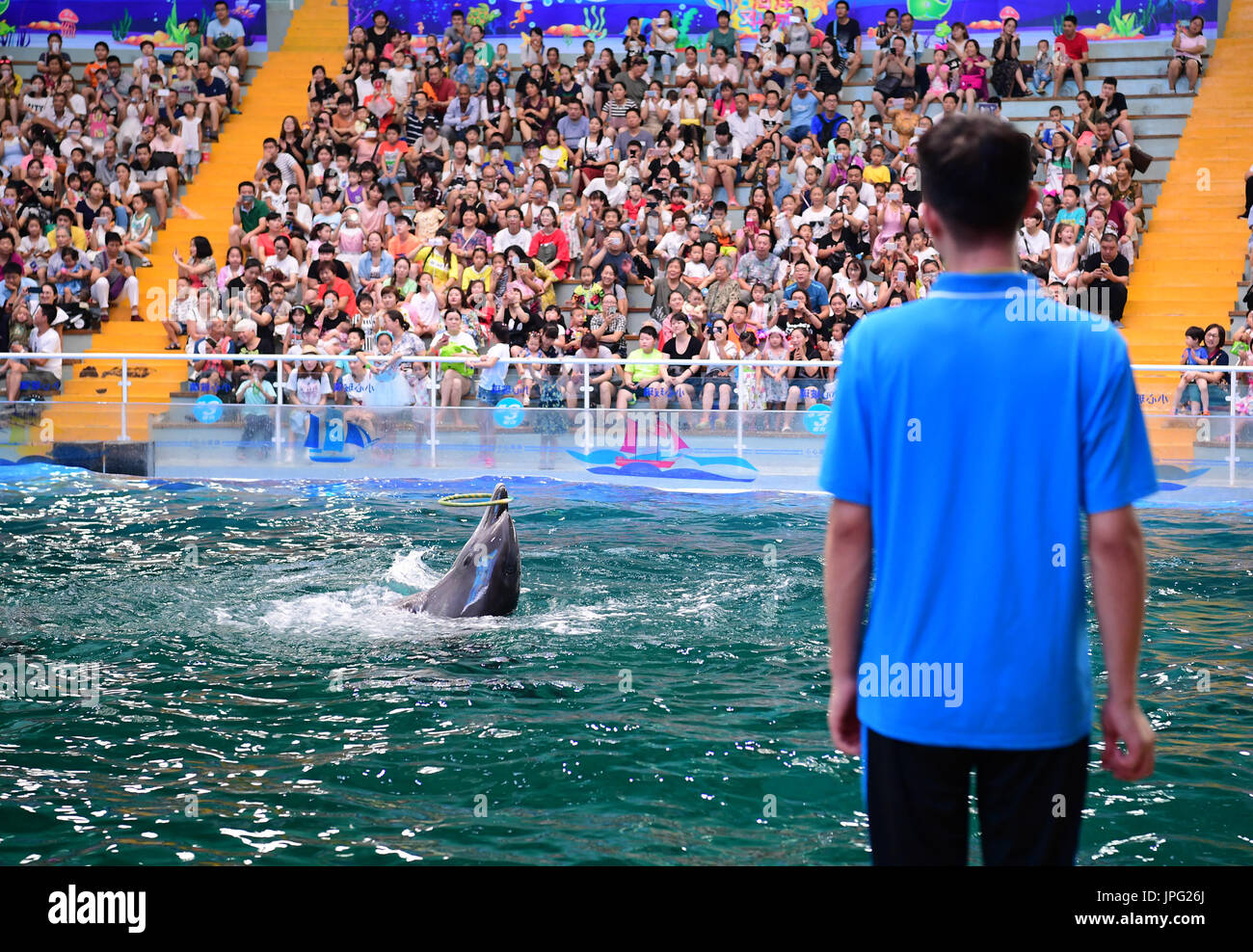 Xi'an, China's Shaanxi Province. 2nd Aug, 2017. A dolphin performs ...