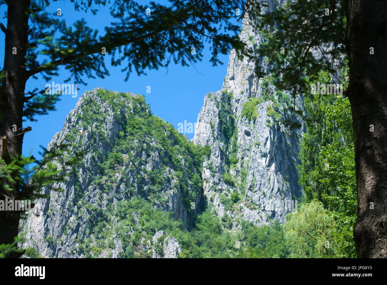 Mountain landscape between pines Stock Photo - Alamy