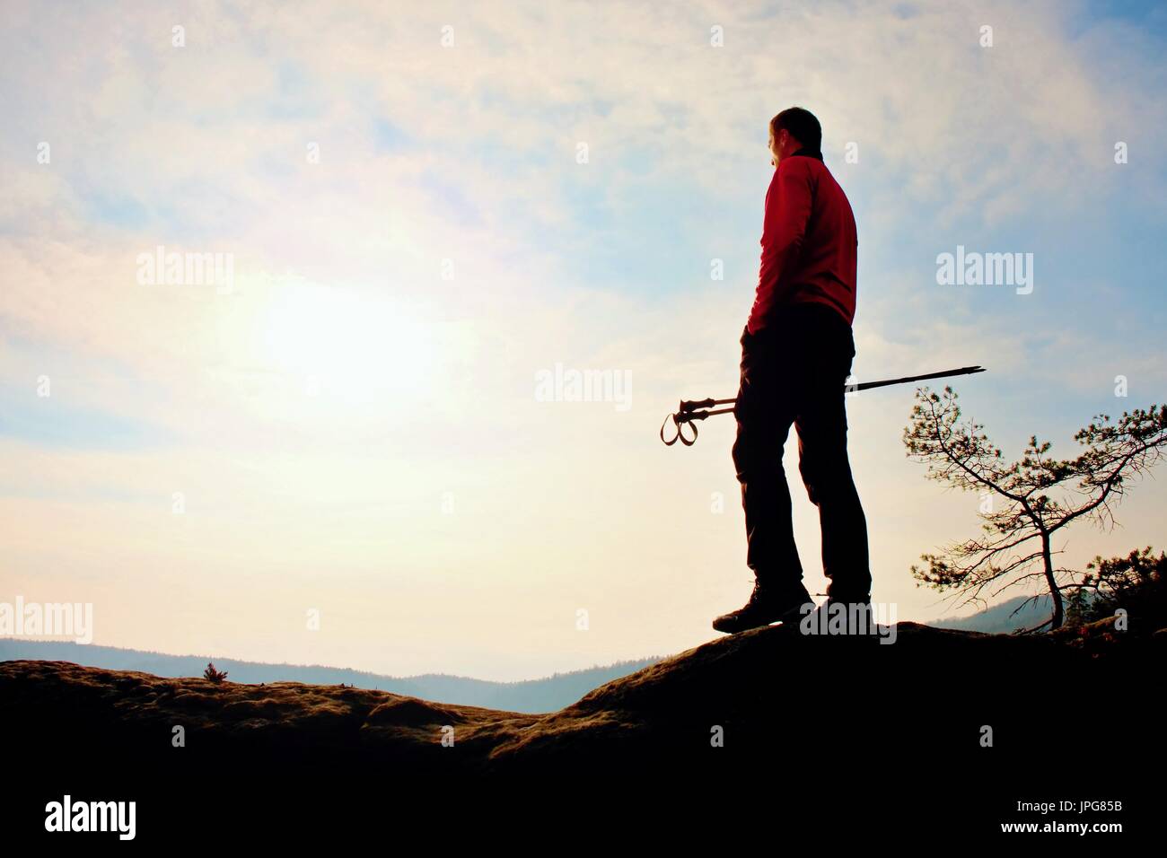 Man hikerwith trakking poles stand on mountain peak rock. Small pine ...