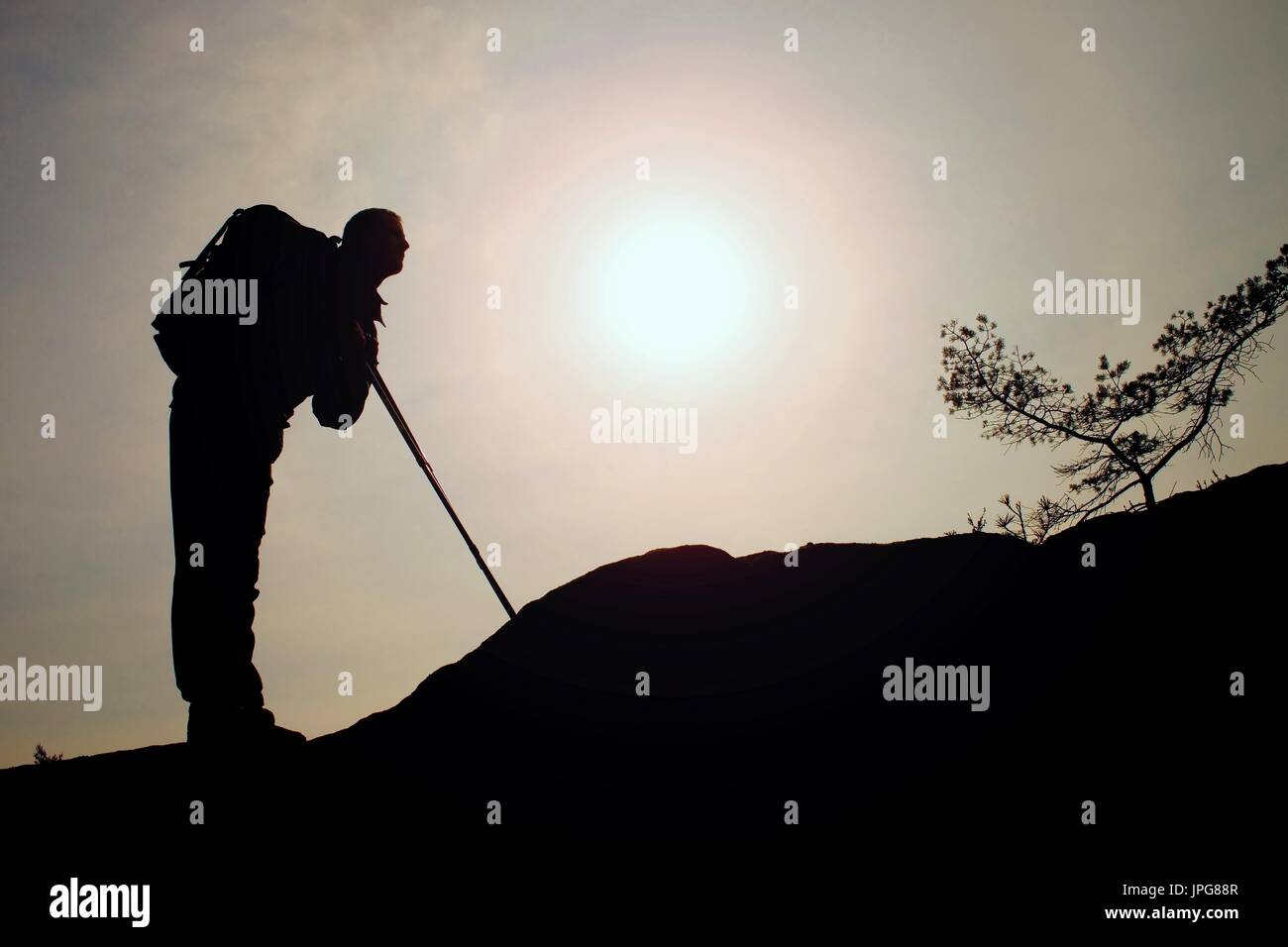 Man hiker with trekking poles stand on mountain peak rock. Small pine ...