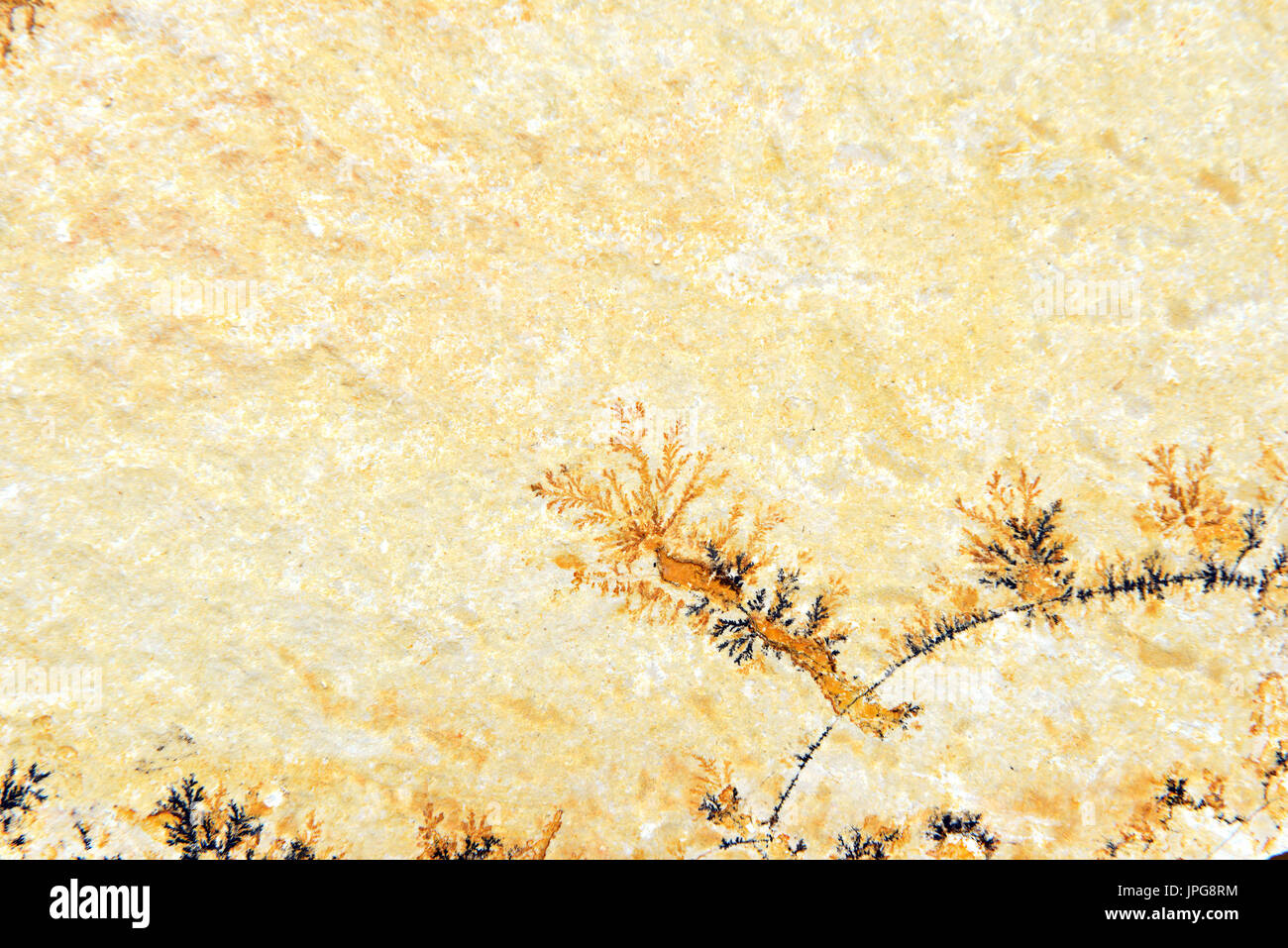 Dendrite minerals on limestone rocks of Solnhofen. full frame ...
