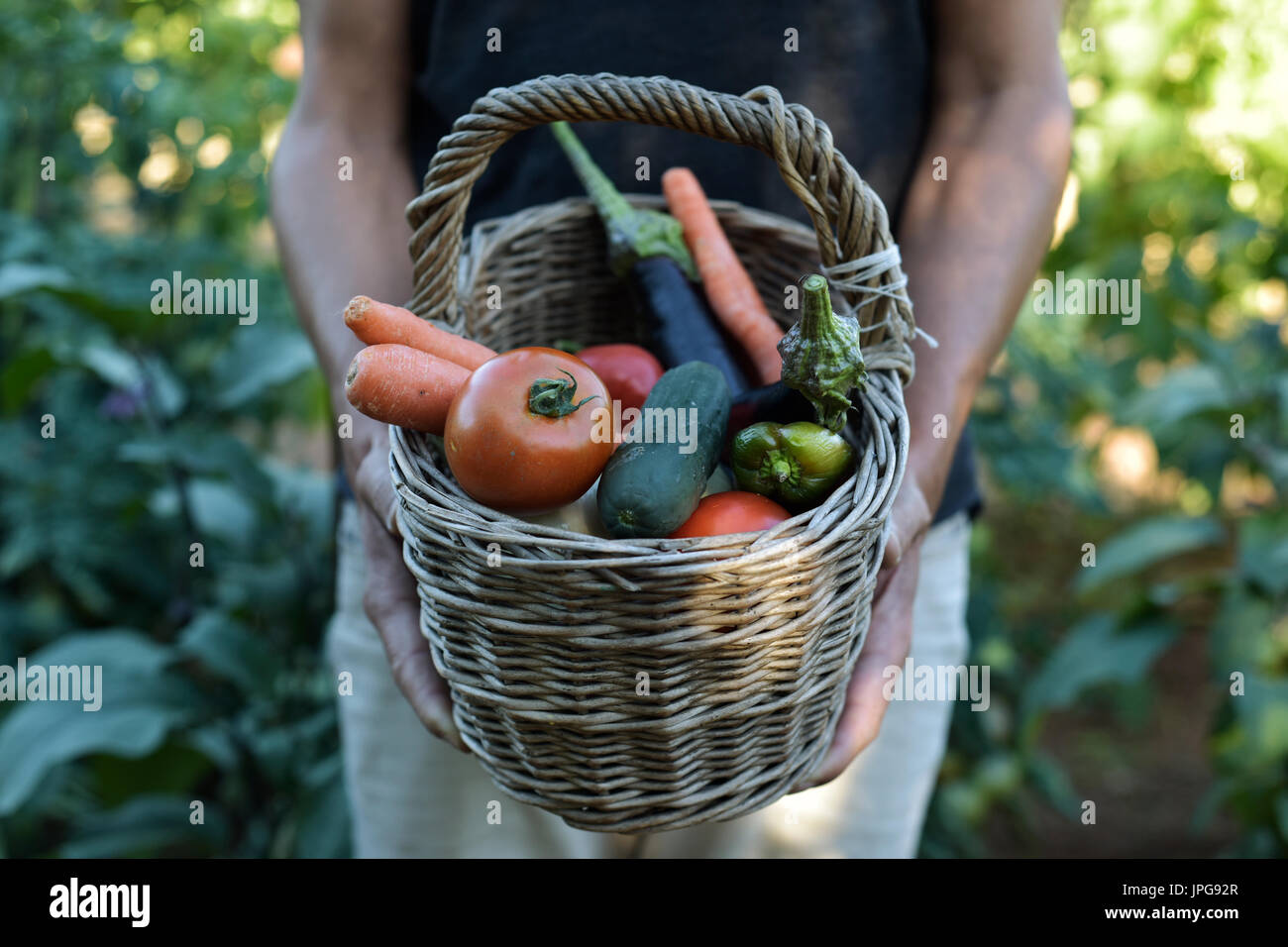 Orchard vegetables hi-res stock photography and images - Alamy