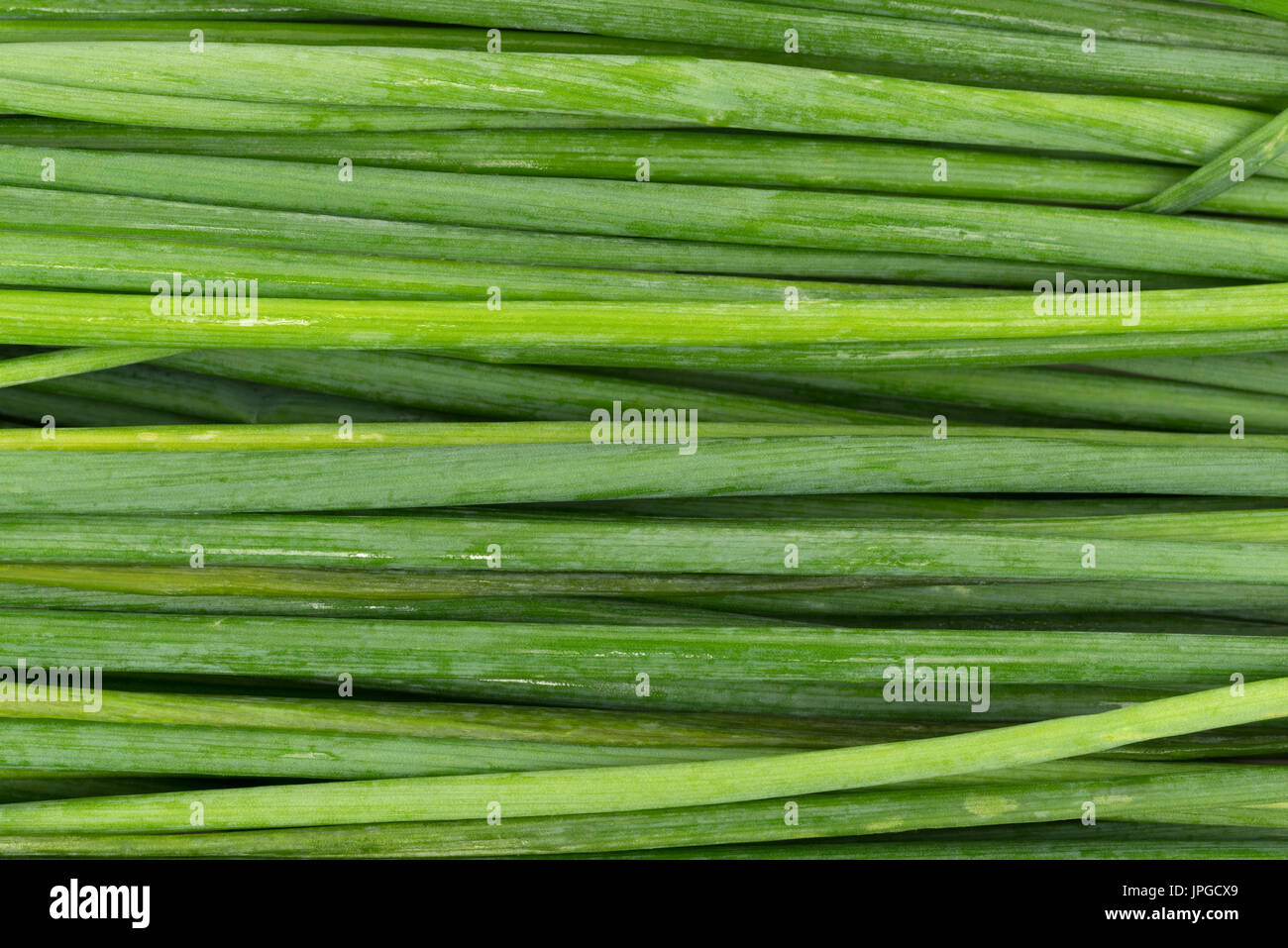 A very close view of organic chives Stock Photo - Alamy