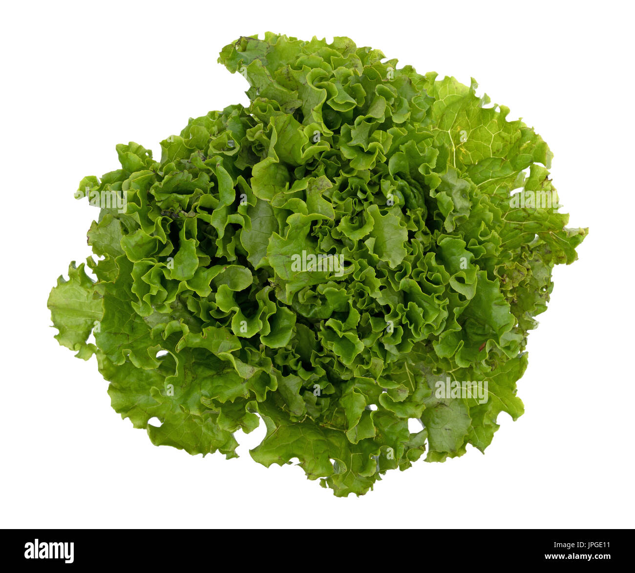 Top view of a head of green lettuce isolated on a white background ...