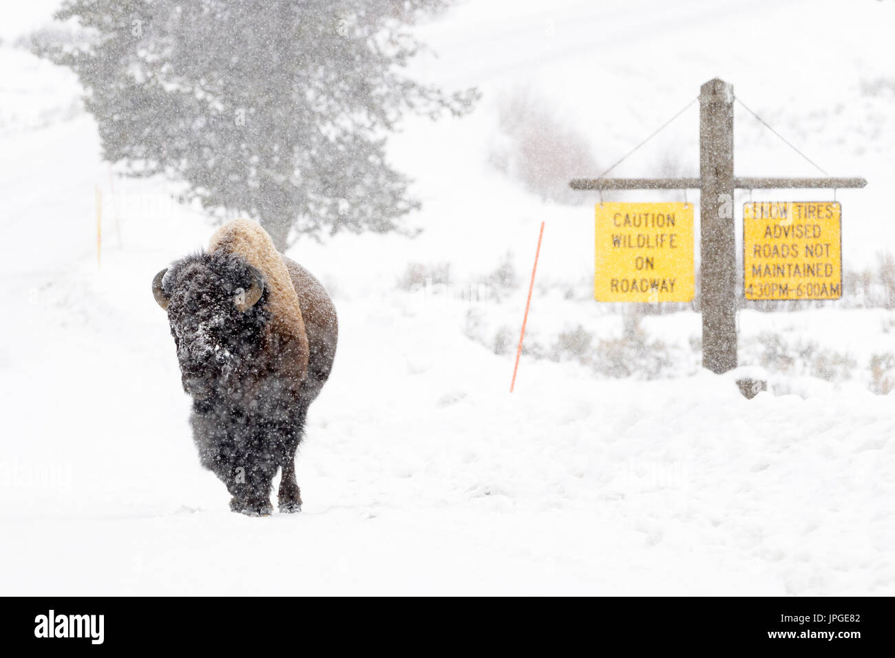Warning sign yellowstone national park hi-res stock photography and ...
