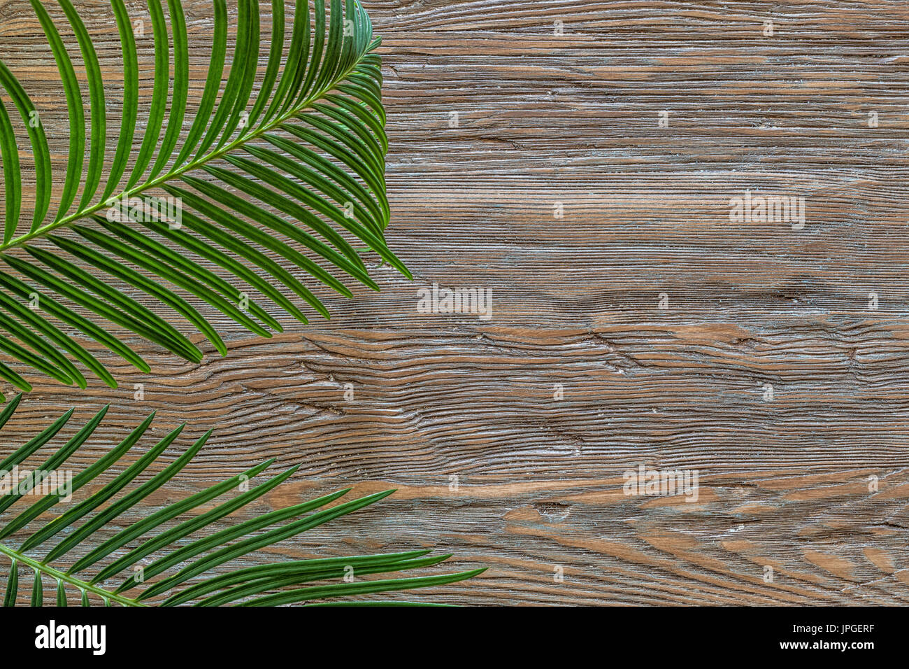 Palm branch on an old wooden background with copy space Stock Photo - Alamy