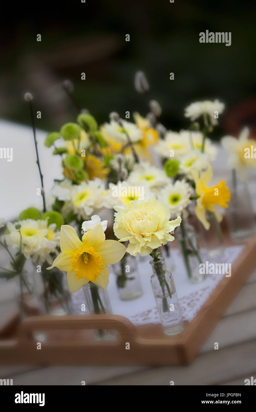 collection of Spring cut flowers Stock Photo - Alamy